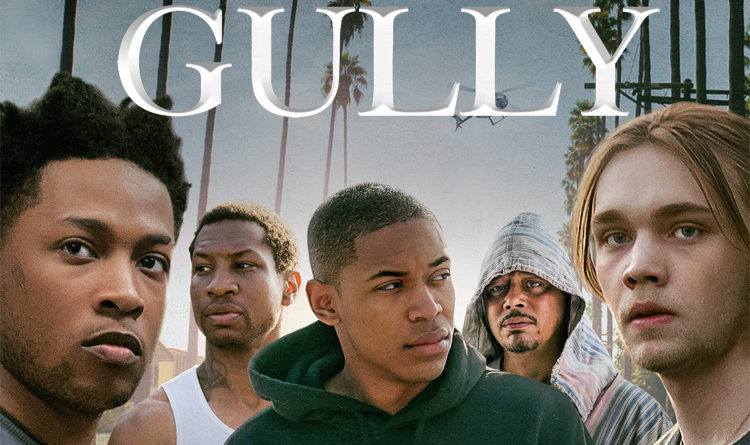 Gully en DVD prochainement